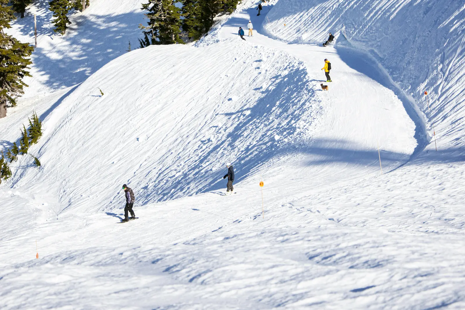 Types of Skiing Terrains: A Comprehensive Guide for Every Skier